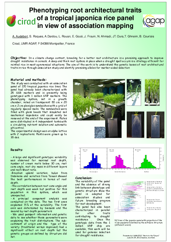(PDF) Phenotyping root architectural traits of a tropical japonica rice ...