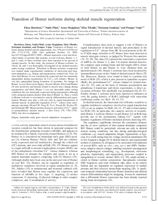(PDF) Transition of Homer isoforms during skeletal muscle regeneration