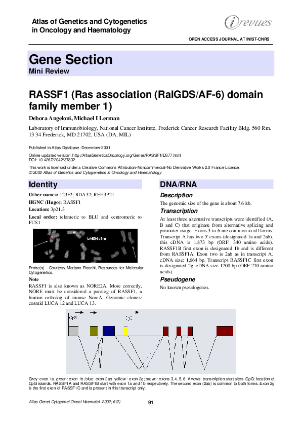 (PDF) RASSF1 (Ras association (RalGDS/AF-6) domain family member 1)