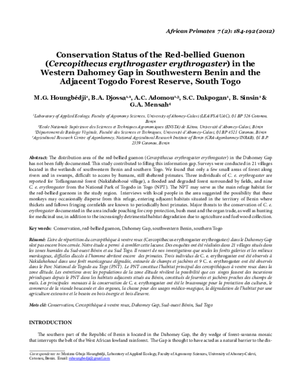 (PDF) Conservation Status of the Red-bellied Guenon (Cercopithecus ...