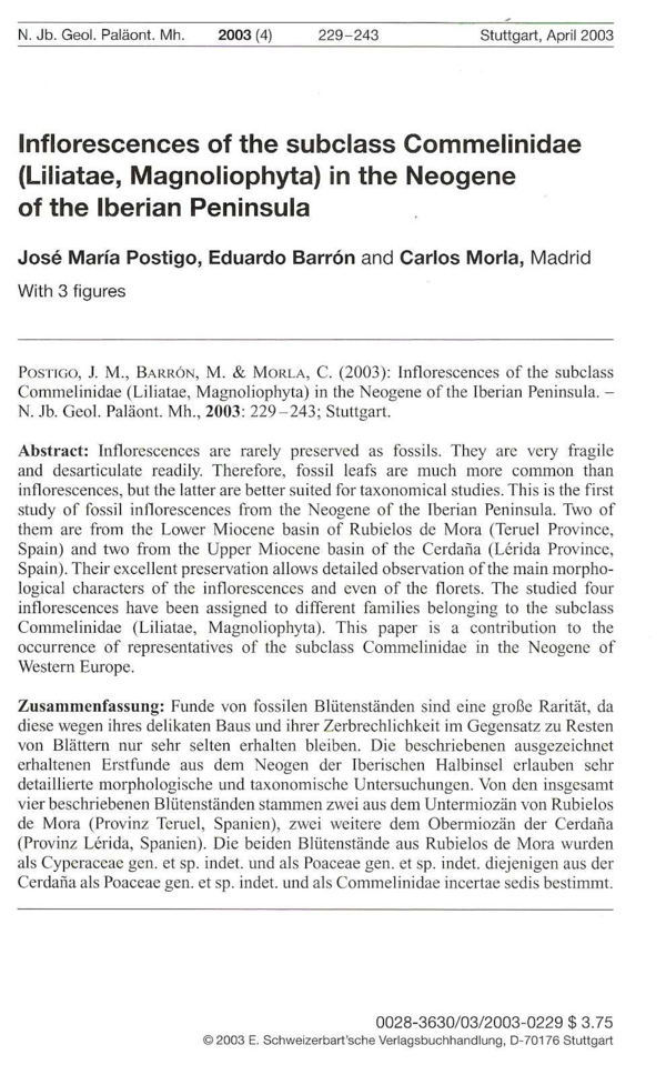 (PDF) Inflorescences of the Subclass Commelinidae in the Neogene of the ...