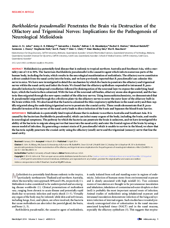(PDF) Burkholderia pseudomallei Penetrates the Brain via Destruction of ...