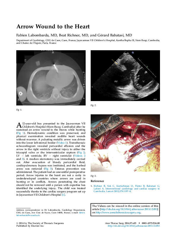 (PDF) Arrow Wound to the Heart
