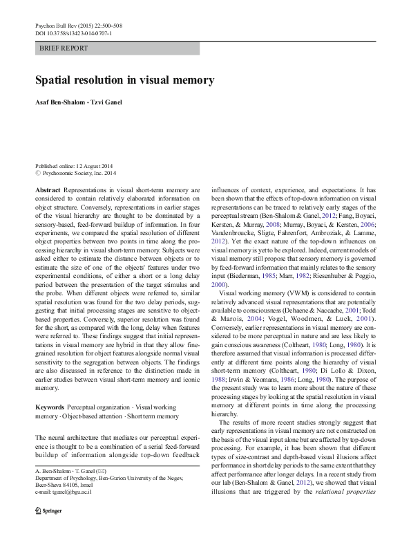 (PDF) Spatial resolution in visual memory