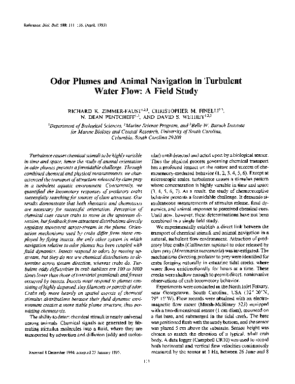 (PDF) Odor plumes and animal navigation in turbulent water flow: a ...