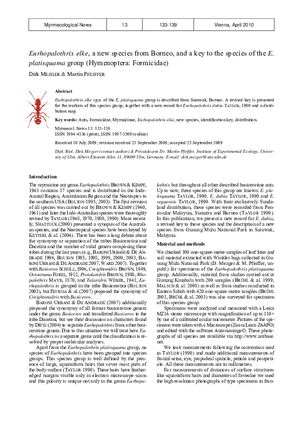 (PDF) Eurhopalothrix elke, a new species from Borneo, and a key to the ...