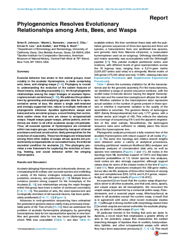 (PDF) Phylogenomics Resolves Evolutionary Relationships among Ants, Bees, and Wasps