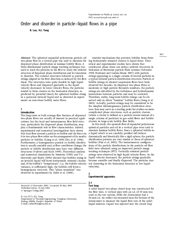(PDF) Order and disorder in particle?liquid flows in a pipe