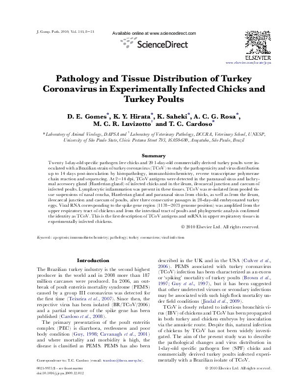 (PDF) Pathology and Tissue Distribution of Turkey Coronavirus in ...
