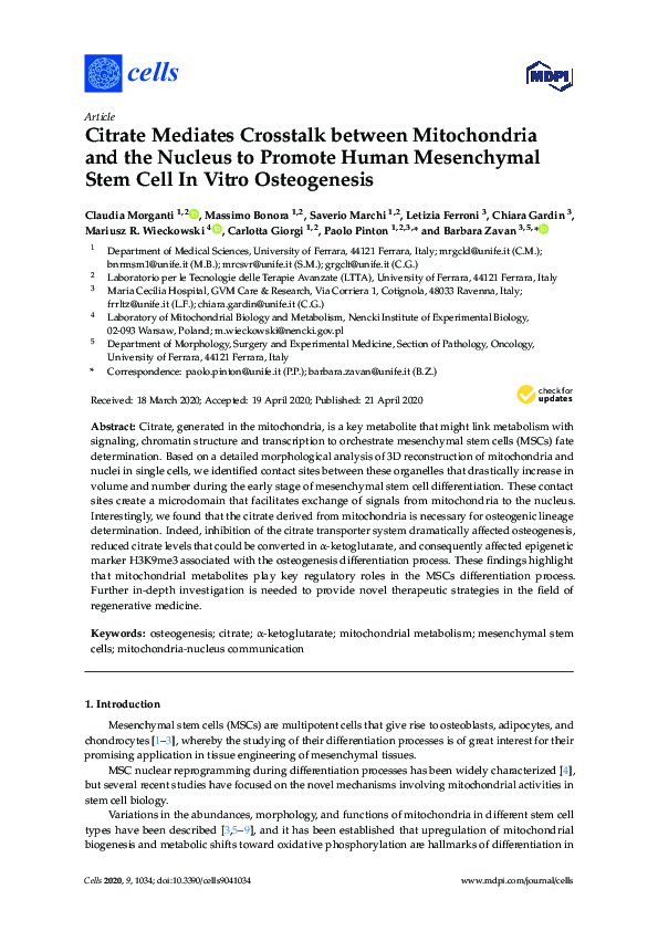 (PDF) Citrate Mediates Crosstalk between Mitochondria and the Nucleus ...
