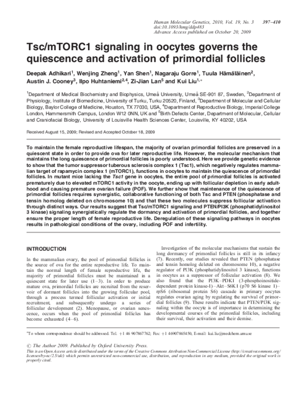 (PDF) Tsc/mTORC1 signaling in oocytes governs the quiescence and ...