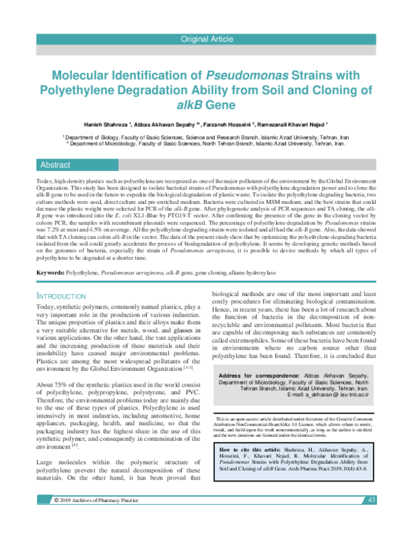 (PDF) Molecular Identification of Pseudomonas Strains with Polyethylene ...