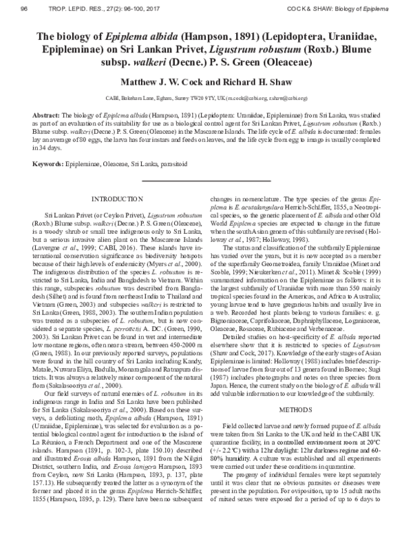 (PDF) The biology of Epiplema albida (Hampson, 1891) (Lepidoptera ...
