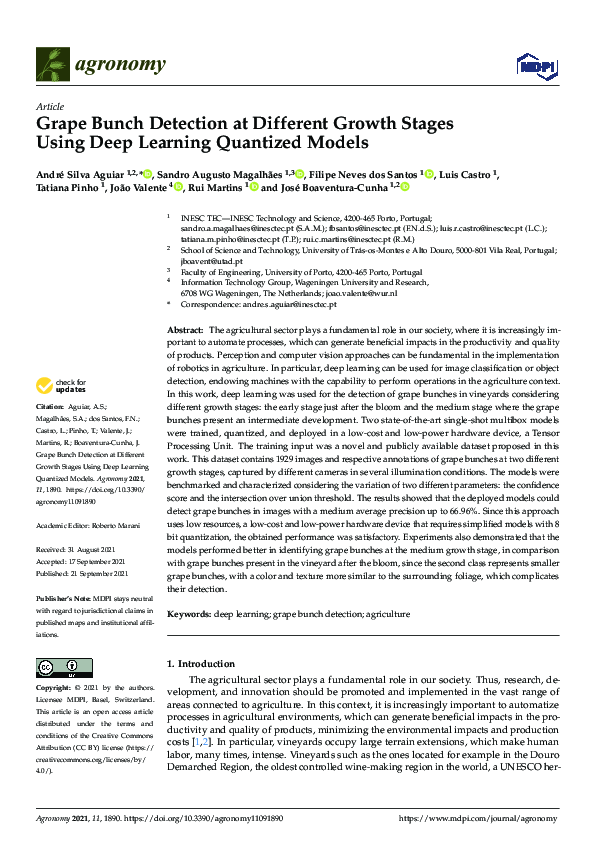 (PDF) Grape Bunch Detection at Different Growth Stages Using Deep Learning Quantized Models