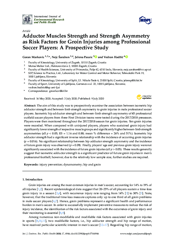 (PDF) Adductor Muscles Strength and Strength Asymmetry as Risk Factors ...