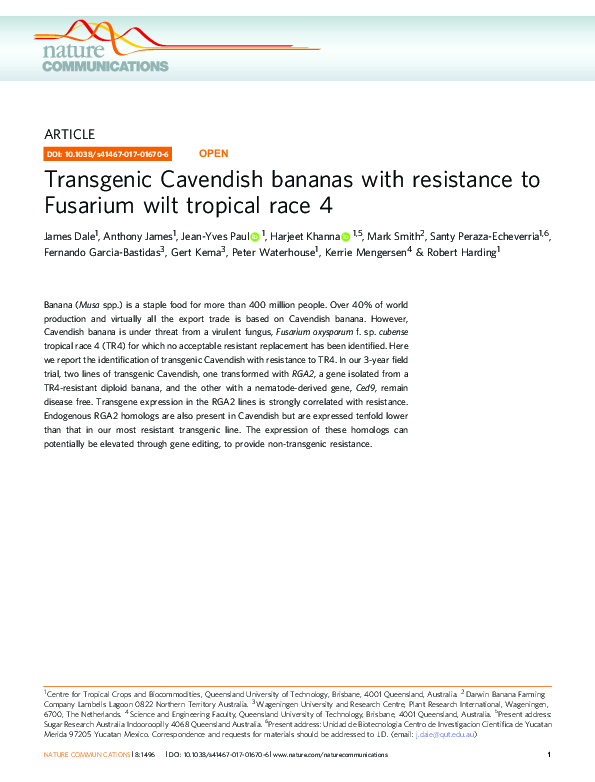 (PDF) Transgenic Cavendish bananas with resistance to Fusarium wilt ...