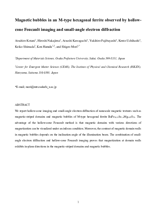 (PDF) Magnetic bubbles in an M-type hexagonal ferrite observed by ...