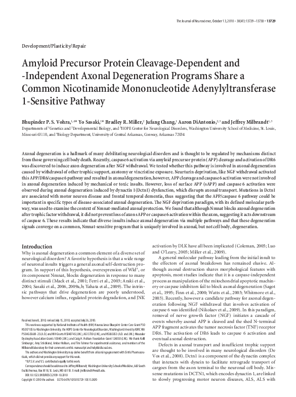 (PDF) APP cleavage dependent and independent axonal degeneration ...