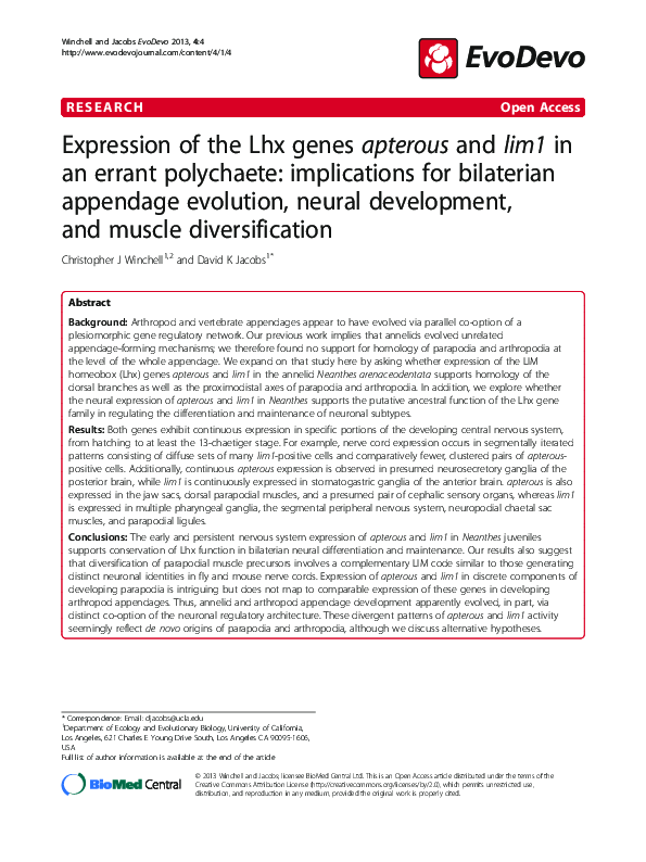 (PDF) Expression of the Lhx genes apterous and lim1 in an errant ...