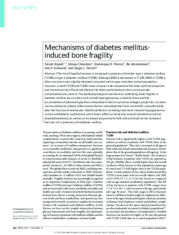 (PDF) Mechanisms of diabetes mellitus-induced bone fragility