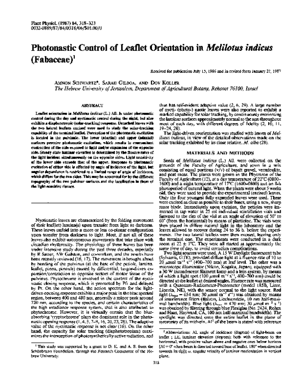 (PDF) Photonastic control of leaflet orientation in Melilotus indicus ...