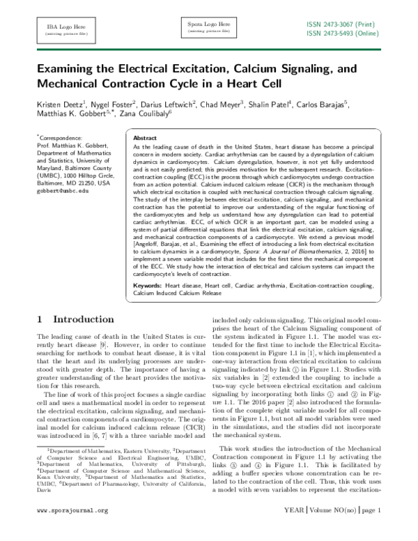 (PDF) Examining the Electrical Excitation, Calcium Signaling, and ...