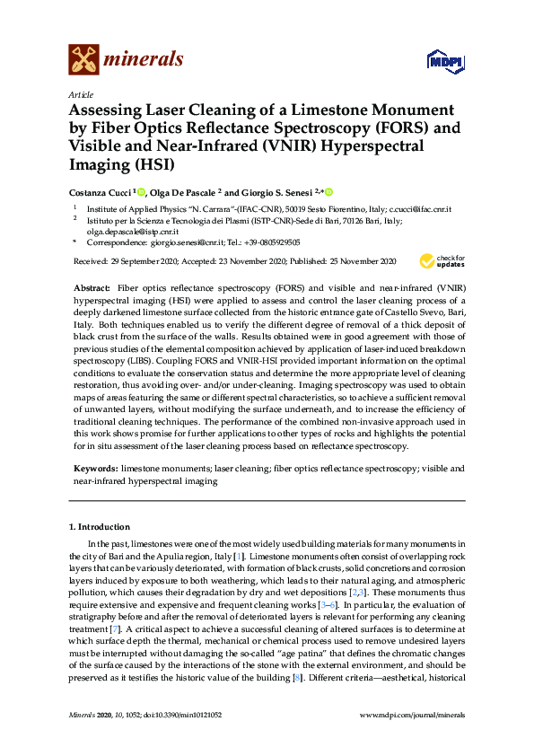 (PDF) Assessing Laser Cleaning of a Limestone Monument by Fiber Optics ...
