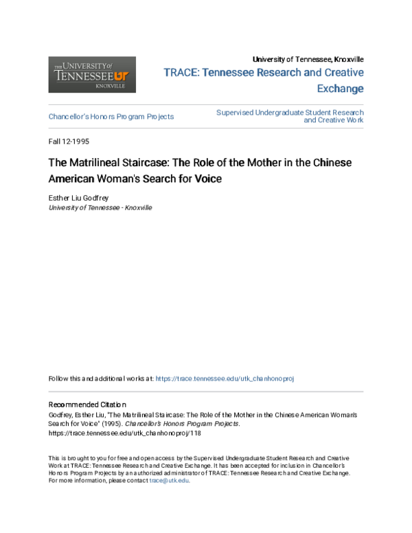 (PDF) The Matrilineal Staircase: The Role of the Mother in the Chinese ...