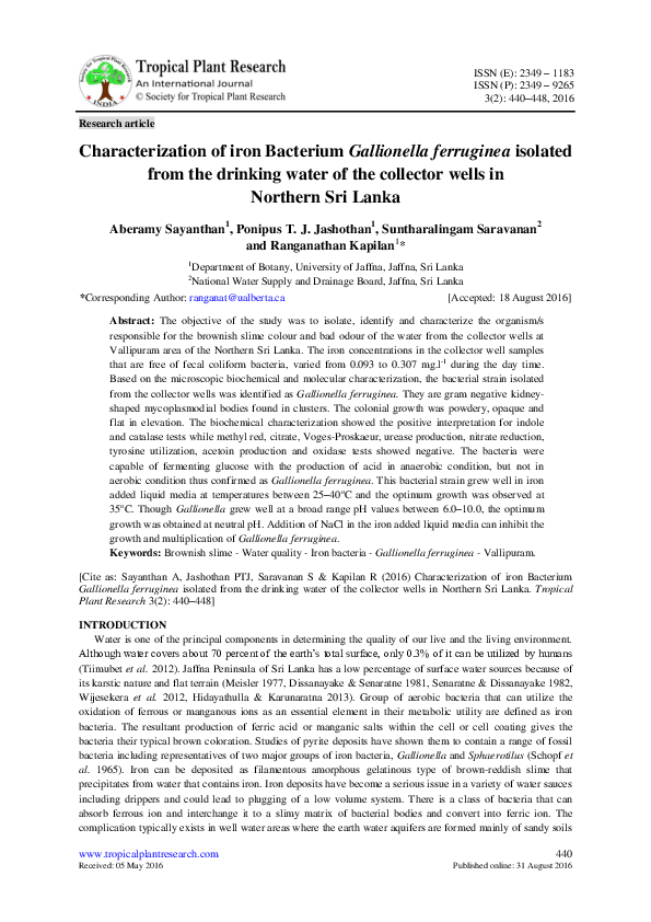 (PDF) Characterization of iron Bacterium Gallionella ferruginea ...