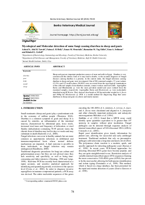 (PDF) Mycological and Molecular detection of some fungi causing ...