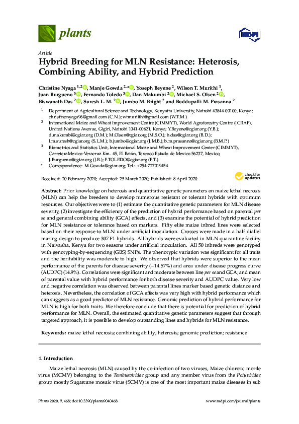 (PDF) Hybrid Breeding for MLN Resistance: Heterosis, Combining Ability ...
