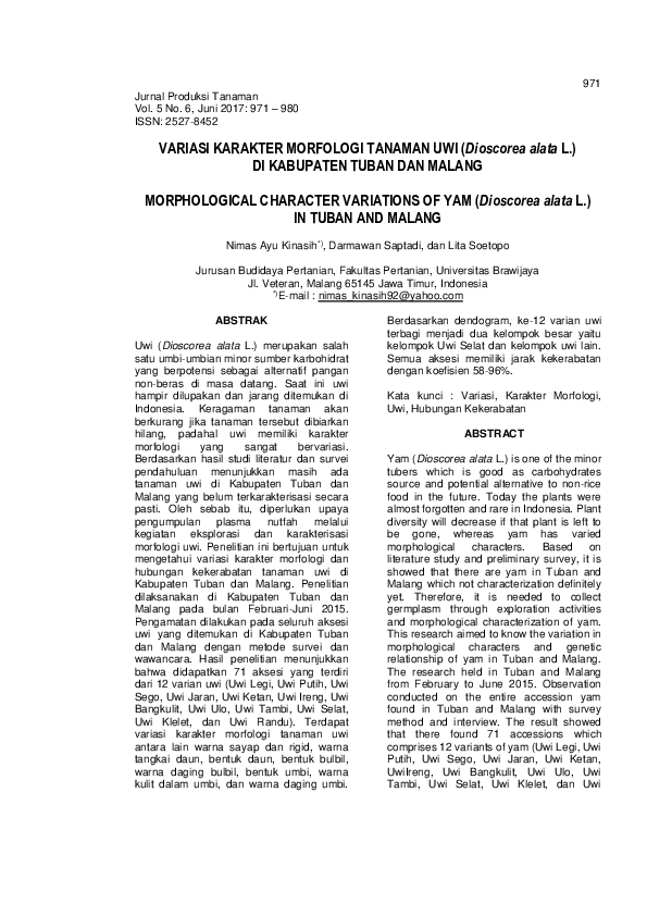 (PDF) VARIASI KARAKTER MORFOLOGI TANAMAN UWI (Dioscorea alata L.) DI ...