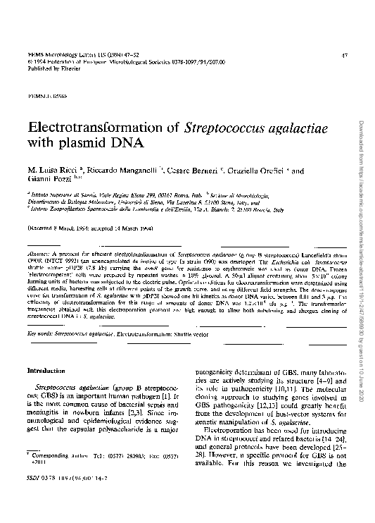 (PDF) Electrotransformation of Streptococcus agalactiae with plasmid DNA
