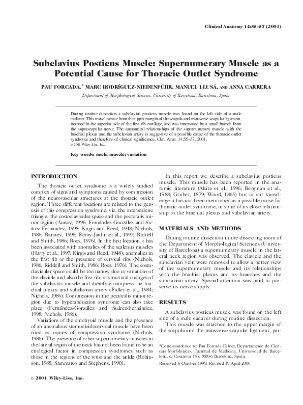 (PDF) Subclavius Posticus Muscle: Supernumerary Muscle As a Potential ...