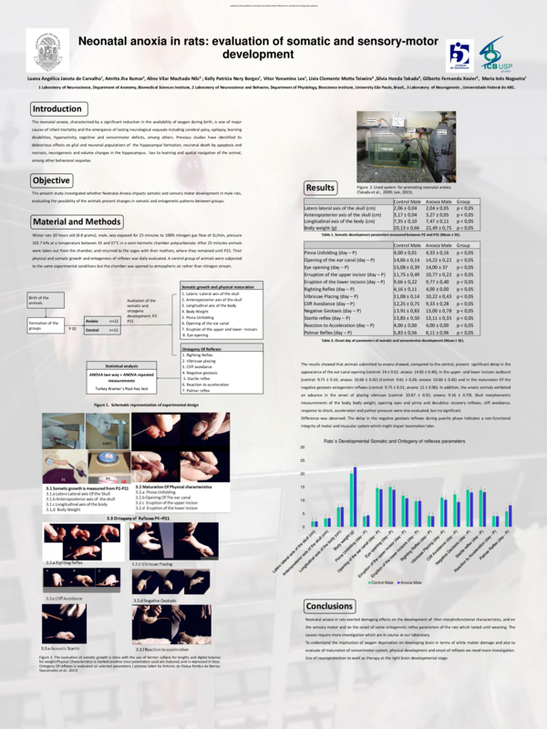 (PDF) Neonatal anoxia in rats: evaluation of somatic and sensory-motor ...