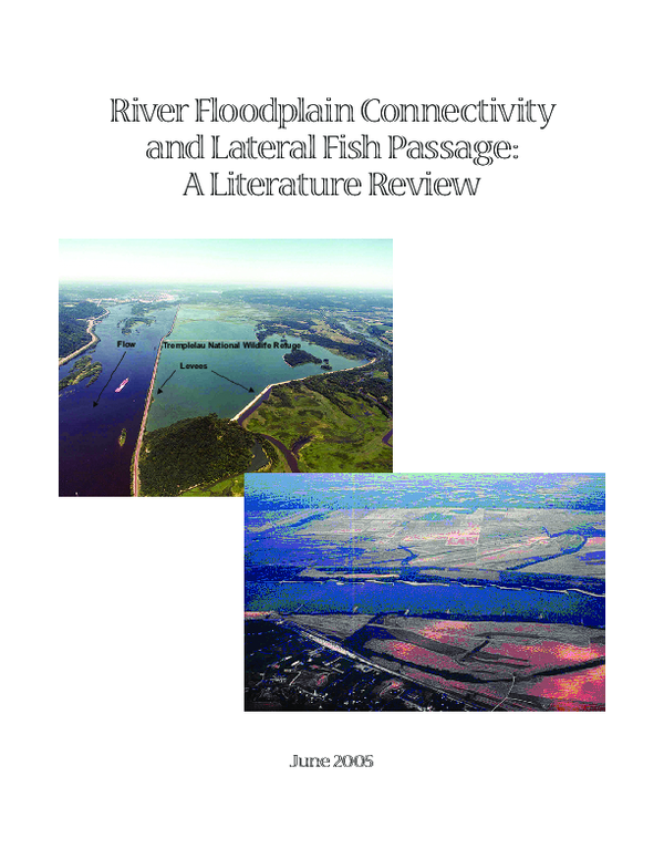 (PDF) River Floodplain Connectivity and Lateral Fish Passage : A ...