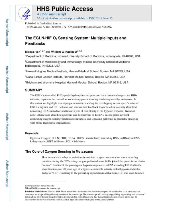 (PDF) The EGLN-HIF O2-Sensing System: Multiple Inputs and Feedbacks ...