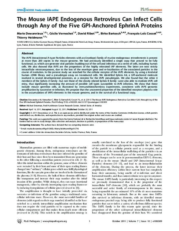 (PDF) The Mouse IAPE Endogenous Retrovirus Can Infect Cells through Any ...