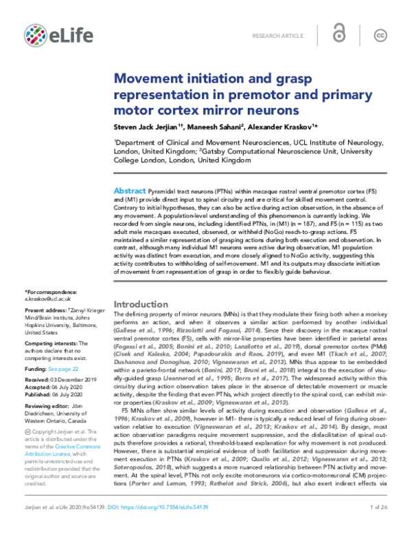 Pdf Movement Initiation And Grasp Representation In Premotor And Primary Motor Cortex Mirror