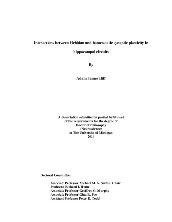 (PDF) Interactions between Hebbian and Homeostatic Synaptic Plasticity ...