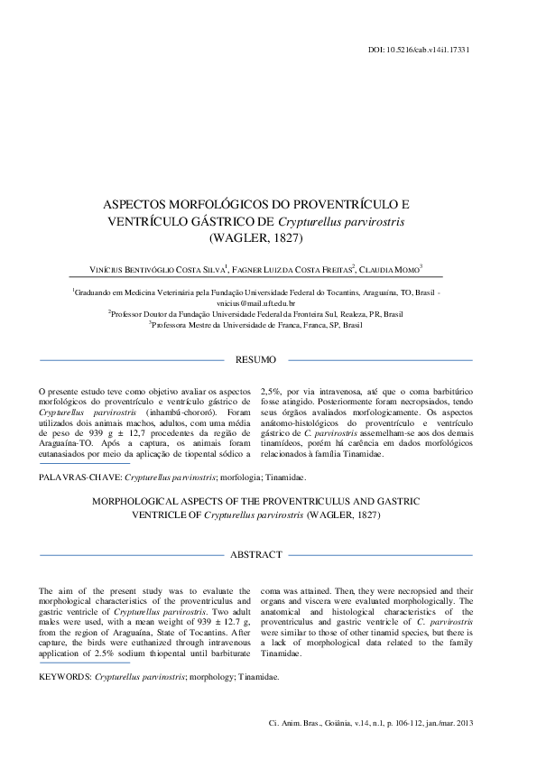 (PDF) ASPECTOS MORFOLÓGICOS DO PROVENTRÍCULO E VENTRÍCULO GÁSTRICO DE ...