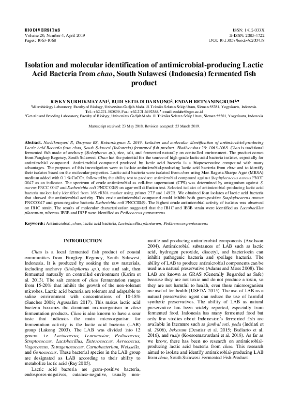 (PDF) The Isolation and molecular identification of antimicrobial-producing Lactic Acid Bacteria ...
