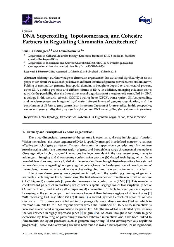 (PDF) DNA Supercoiling, Topoisomerases, and Cohesin: Partners in Regulating Chromatin Architecture?