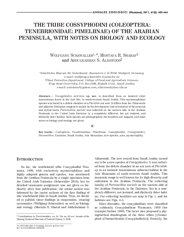 (PDF) The Tribe Cossyphodini (Coleoptera: Tenebrionidae: Pimeliinae) of ...