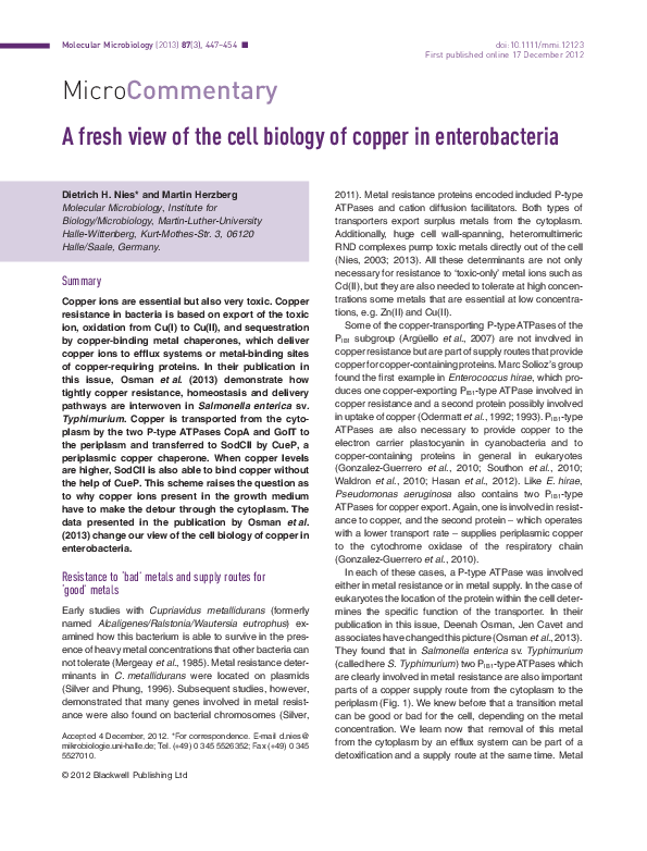 A fresh view of the cell biology of copper in enterobacteria