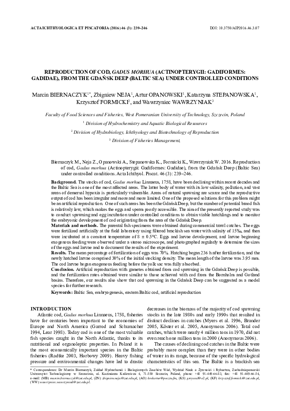 (PDF) Reproduction of cod, Gadus morhua (Actinopterygii: Gadiformes ...