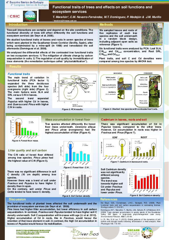 (PDF) Tree Functional Traits and Their Impact on Soil and Ecosystems