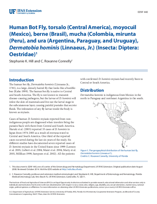(PDF) Human Bot Fly, torsalo (Central America), moyocuil (Mexico ...
