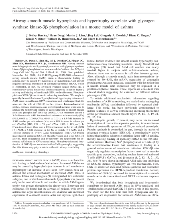 (PDF) Airway smooth muscle hyperplasia and hypertrophy correlate with ...