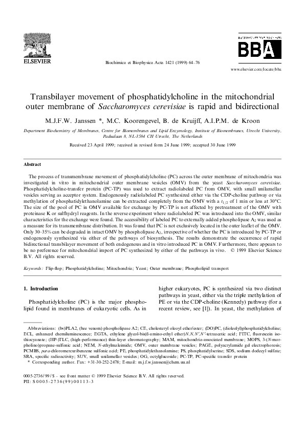 (PDF) Transbilayer movement of phosphatidylcholine in the mitochondrial ...